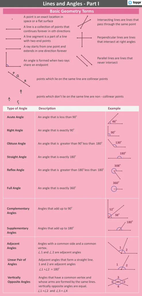 Basic Terms in Geometry 7th Grade Quiz | Wayground