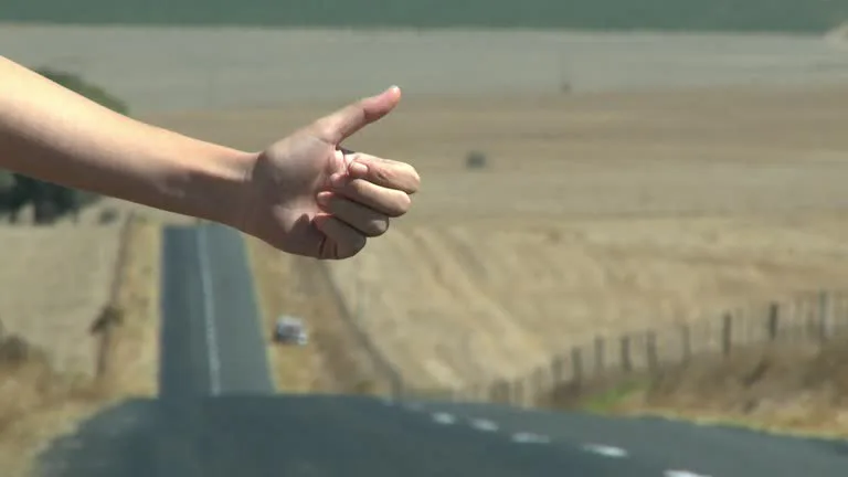 Hitchhiker Vocabulary 6th Grade Quiz | Wayground (formerly Quizizz)