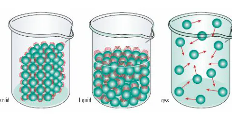The Particle Theory of Matter Quiz