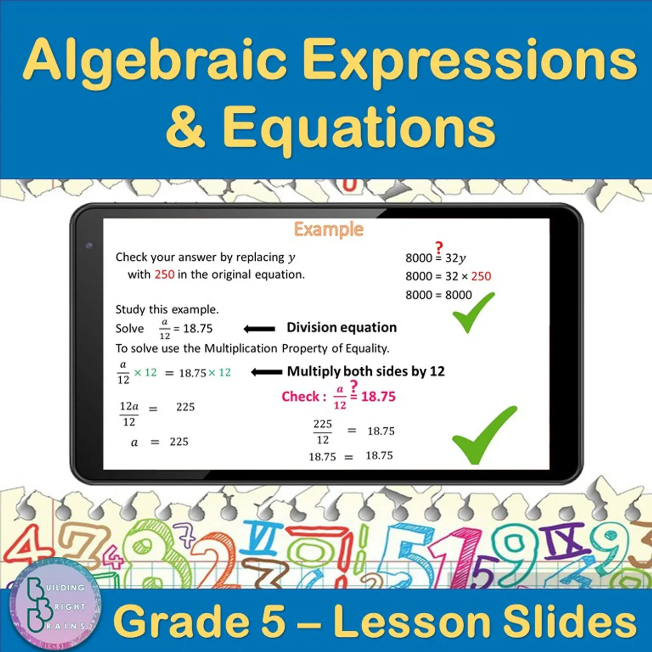 Algebraic Expression Quiz