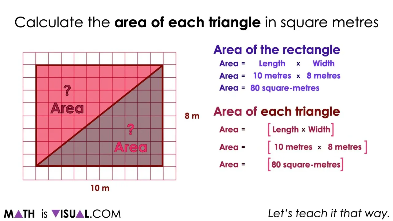 Area of Triangles and Rectangles 6th Grade Quiz | Quizizz