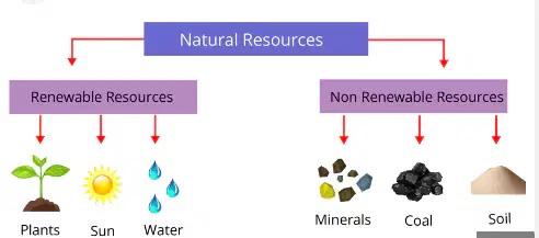 renewable and non-renewable energy 3rd Grade Quiz | Quizizz