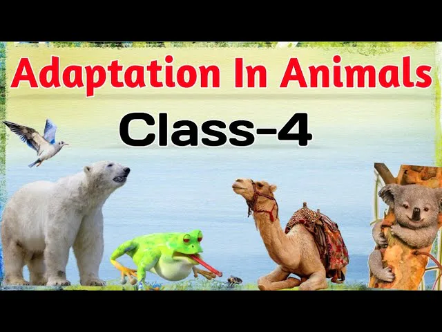 Adaptation 4th Grade Quiz | Quizizz