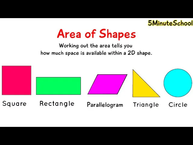 Area of Triangle and Rectangle 5th Grade Quiz | Wayground