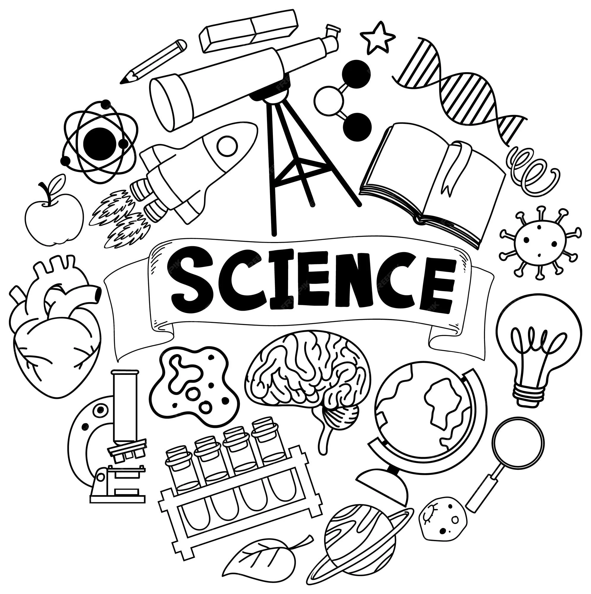 Chapter 1 Science Vocabulary Quiz