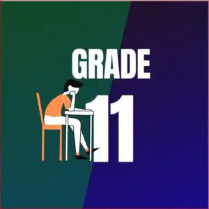 Grade 11 Math Revision Quiz