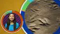 Fossils and Dinosaurs 6th - 9th Grade Video | Wayground (formerly Quizizz)