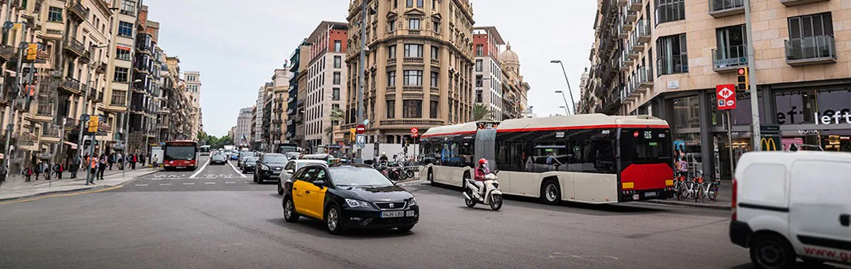 ESO 2 PAI TERM 1 REVISION 7th Grade Quiz | Quizizz