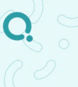 Adverb suffixes -ly, -ily, -ways, -wise Flashcard