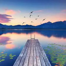 Protecting Earth's Resources 5th Grade Quiz | Wayground (formerly Quizizz)