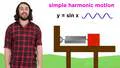 Simple Harmonic Motion: Hooke's Law Interactive Video