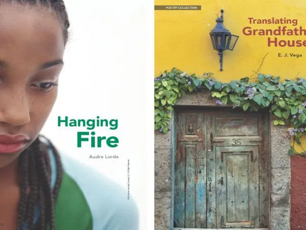 Translating Grandfather's House/Hanging Fire 8th Grade Flashcard ...