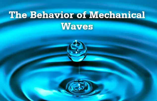 Waves Lesson 2 Quiz Quiz