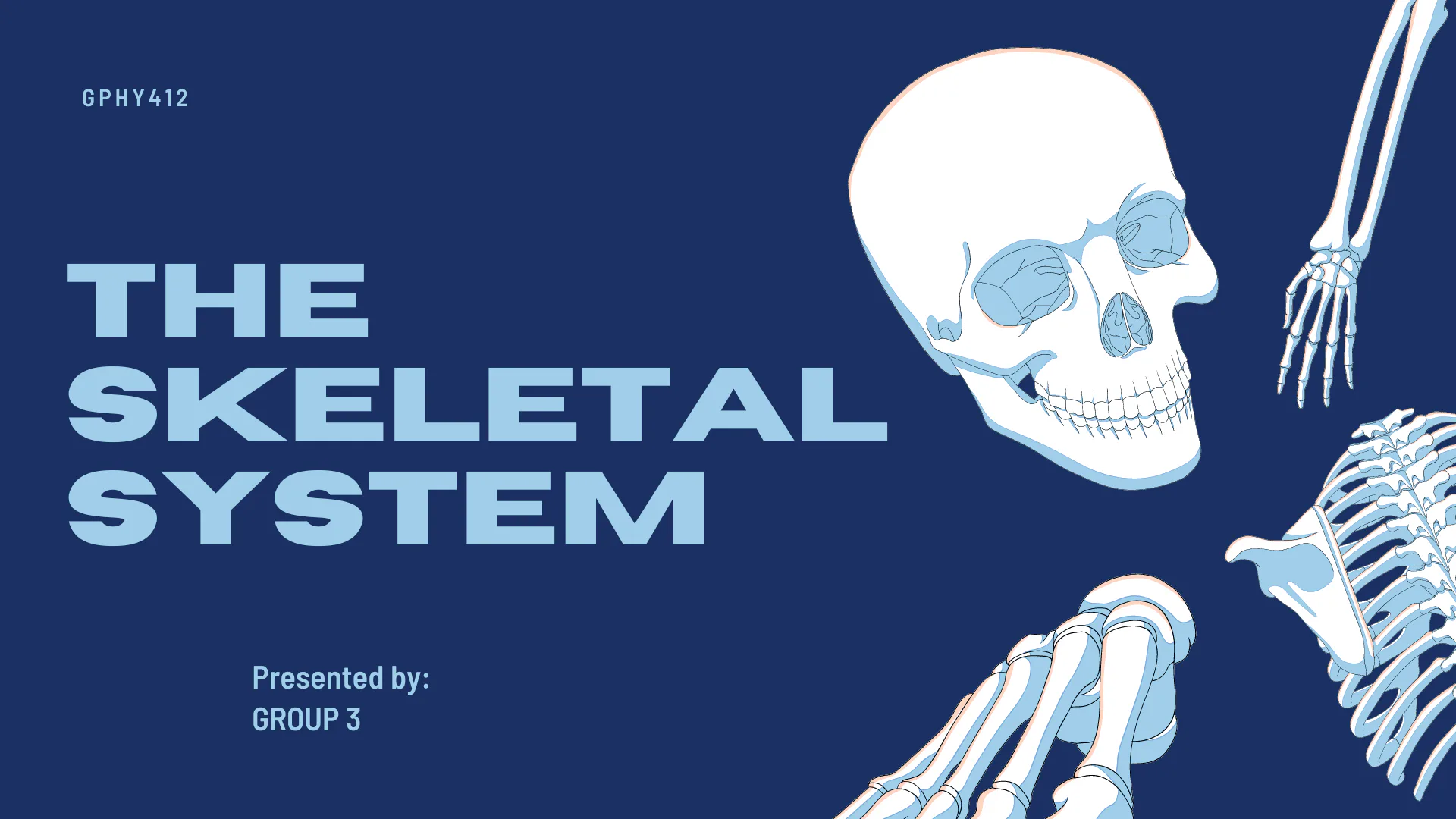 Skeletal System Quiz