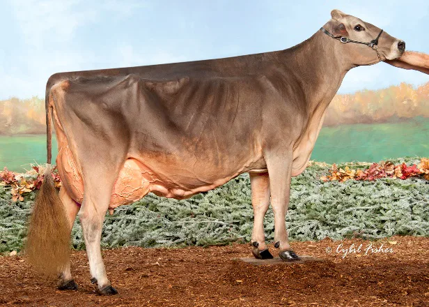 2024 Animal Science: Final Exam Flashcards