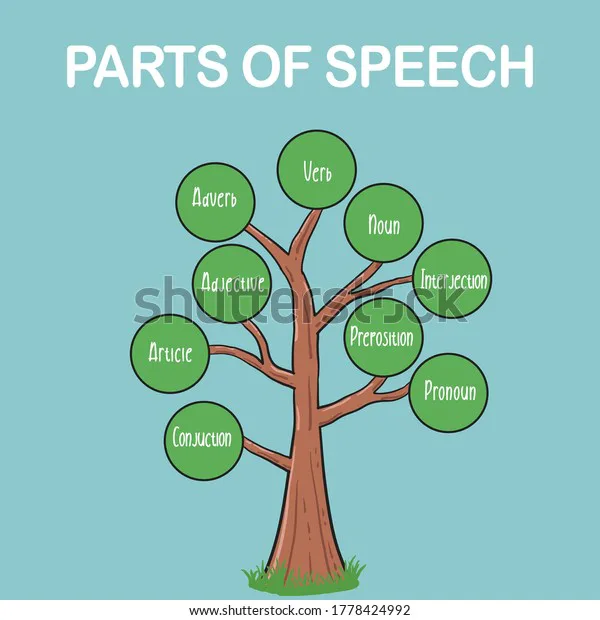 Part of Speech Quiz (Preposition, Conjunction, Determiner) University ...