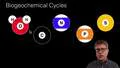 Biogeochemical Cycles 11th Grade - University Video | Wayground ...