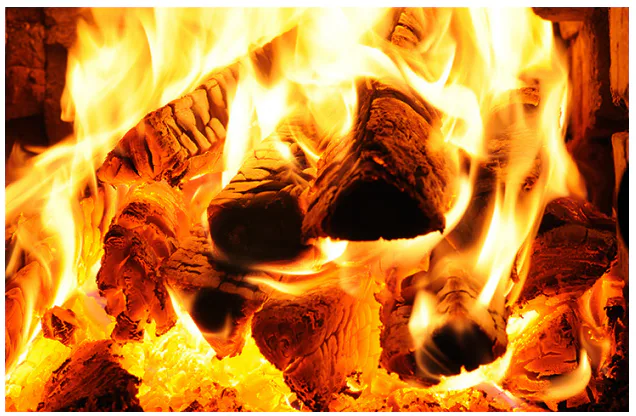 Endothermic and Exothermic Reactions 8th Grade Quiz | Quizizz