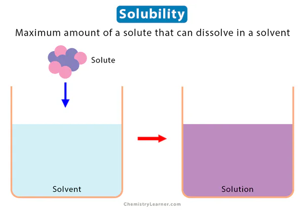 Solubility Curve and Solutions Review Quiz
