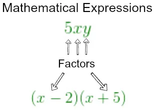 Identifying Parts of an Expression 6th Grade Quiz | Quizizz