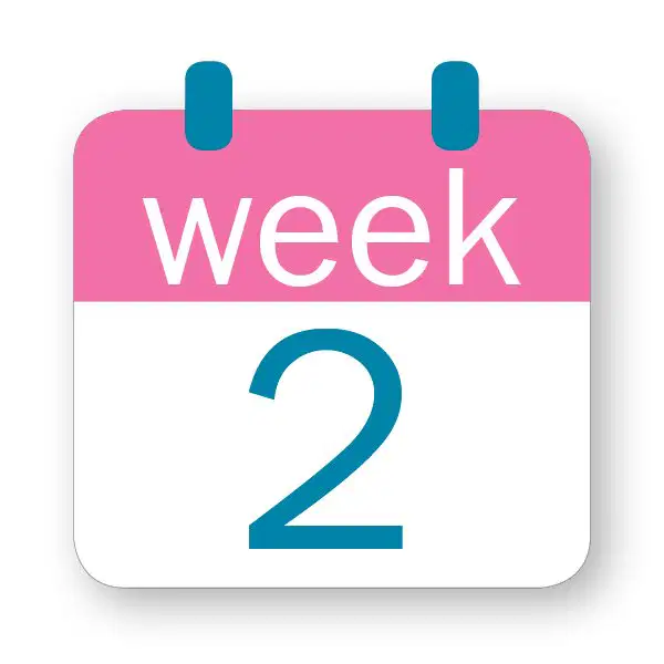 G5 week 2 spelling 5th Grade Quiz | Quizizz