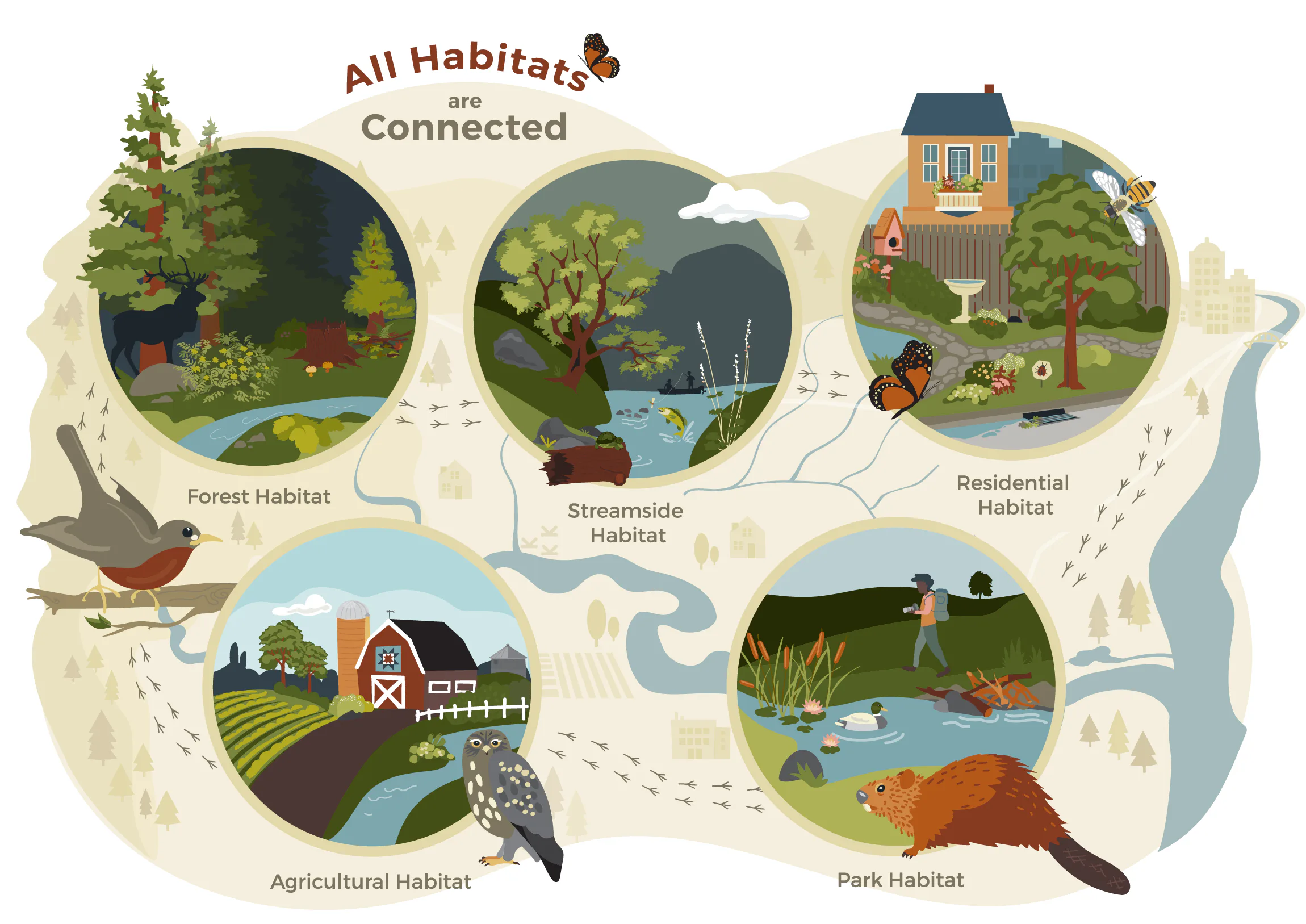 habitats Flashcard