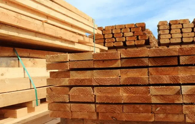 Timber Quiz Quiz