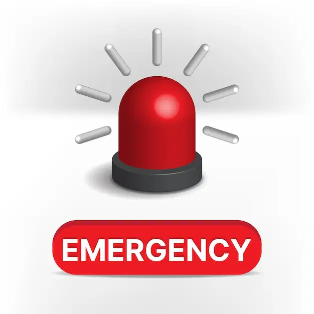 Unit 1: It's an emergency Quiz