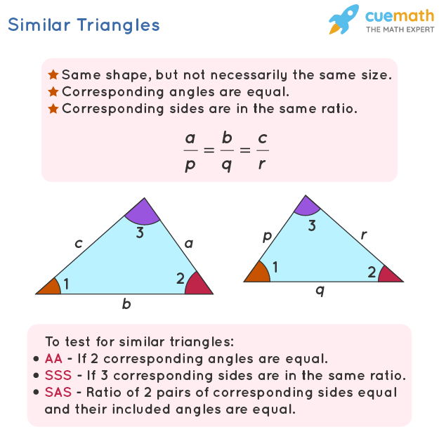 Properties of Similar Figures 7th Grade Quiz | Quizizz