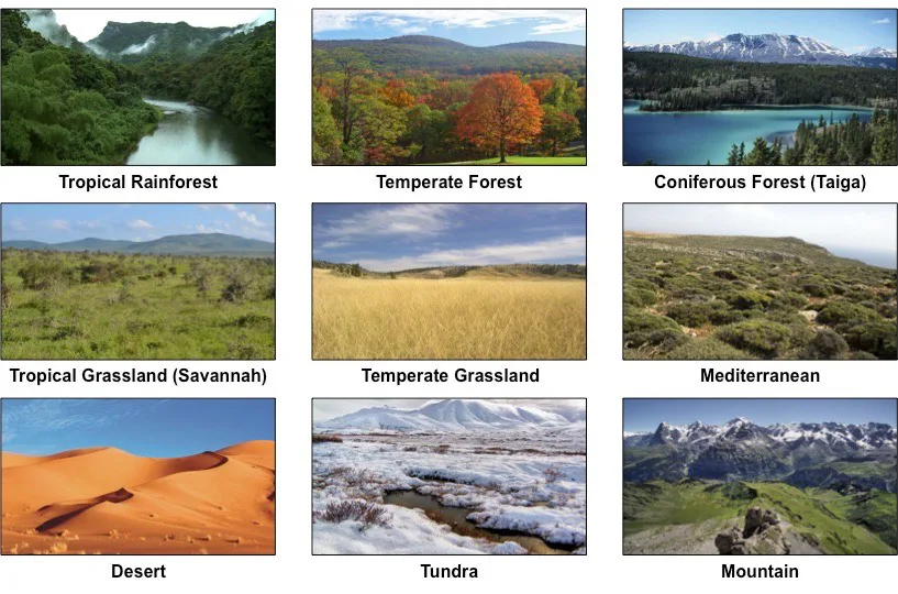 Ecosystems and Biomes 5th Grade Flashcard | Wayground