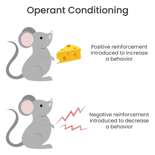 Operant Conditioning Quiz Quiz