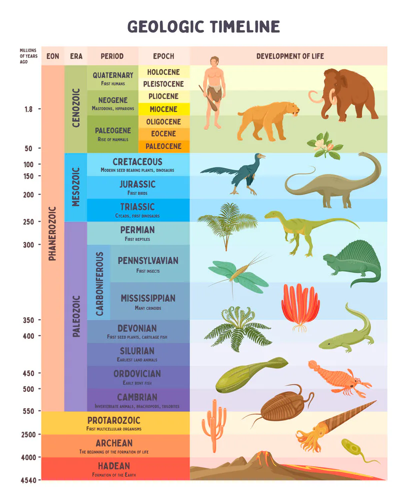 geologic time 8th Grade Quiz | Wayground
