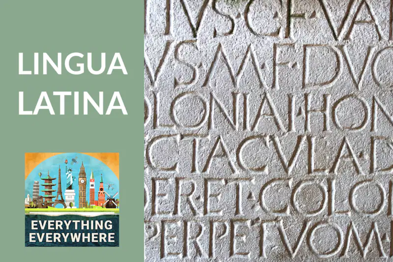 Latin Vocabulary List Quiz