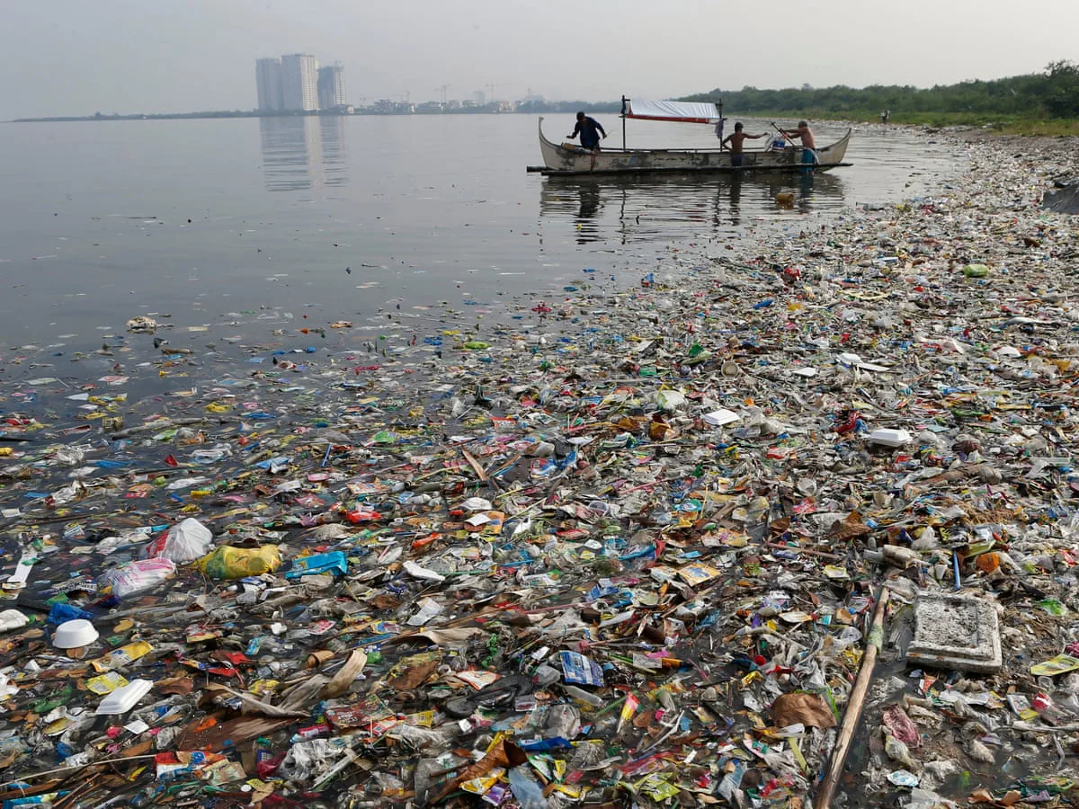 Vocabulary Human Impact Quiz