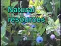 People and the Environment: Natural Resources 10th - 12th Grade Video ...