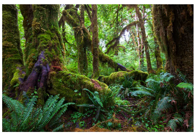 Synthetic Materials: Making Substances in the Lab 7th Grade Quiz ...