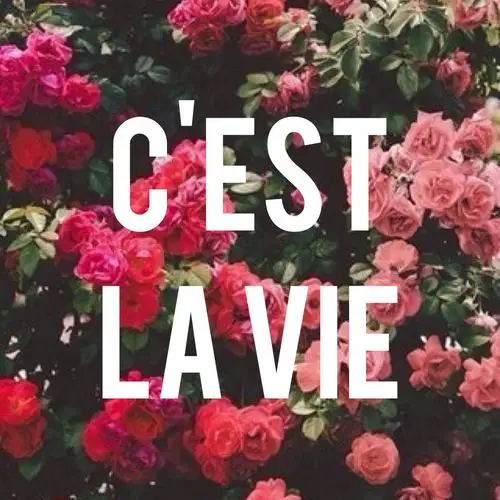 La vie quotidienne Quiz