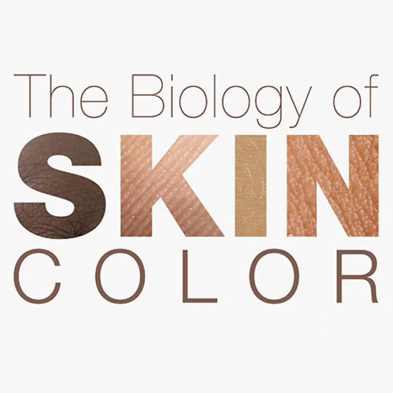 The Biology of Skin Color Quiz
