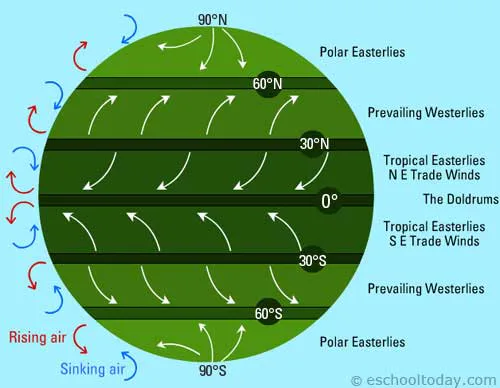 Unit 5.3 Global Winds and Ocean Currents 7th Grade Quiz | Quizizz