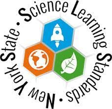 Ngss Science Assessment 8th Grade Quiz | Quizizz