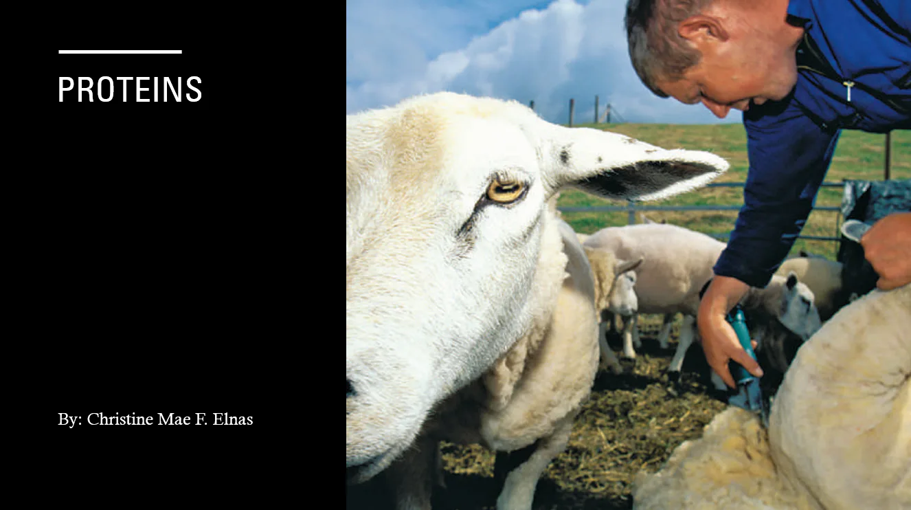 Protein Structure and Amino Acids Quiz Quiz