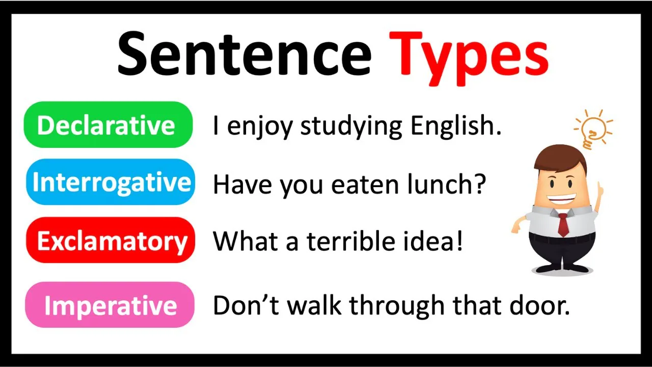 Sentence Types 6th Grade Quiz | Quizizz