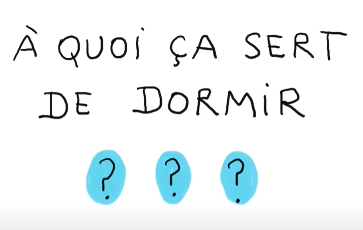 Un jour, une question ! A quoi ça sert de dormir ? 5th Grade Quiz | Quizizz