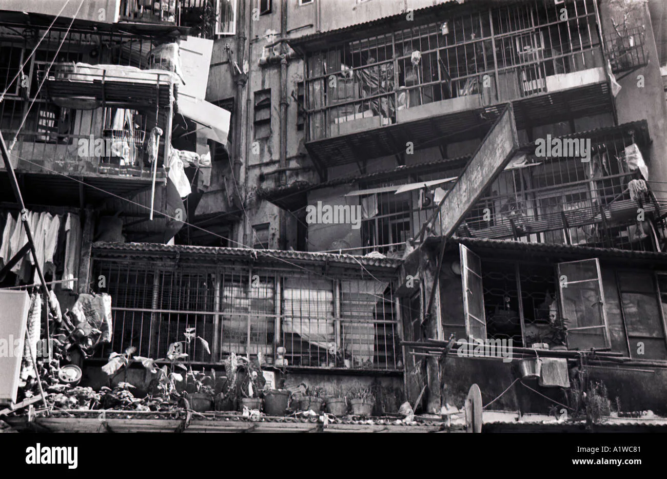 Conditions of Tenement Slums in Late 1800s 8th Grade Quiz | Wayground