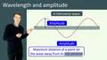 Understanding Wavelength and Amplitude in Waves 10th Grade - University ...