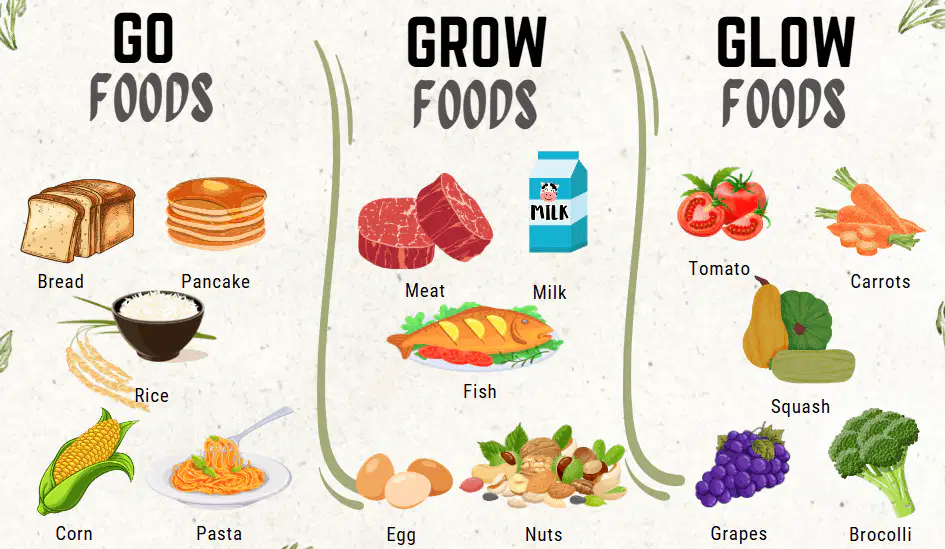 Go, Grow and Glow foods Quiz