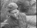 Allied Forces Capture Wounded German Soldiers University Video | Wayground
