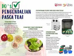 pasca tuai tanaman Kuiz