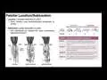 TherEx | Patellar Stabilization Series [Part 1] | Subluxation vs ...