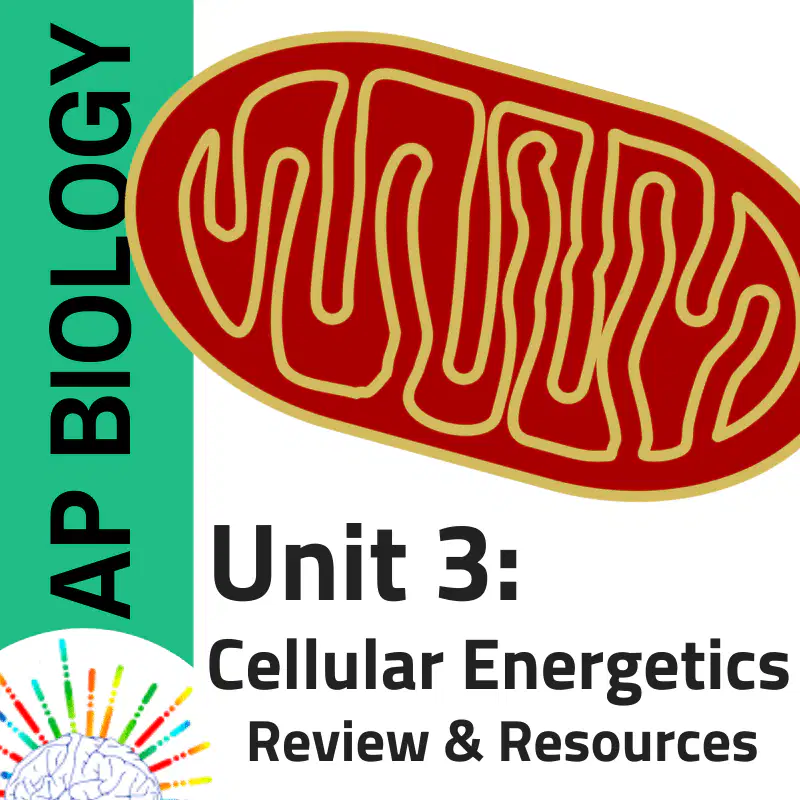 Unit 3: Flashcardz Review Game 12th Grade Flashcard | Wayground